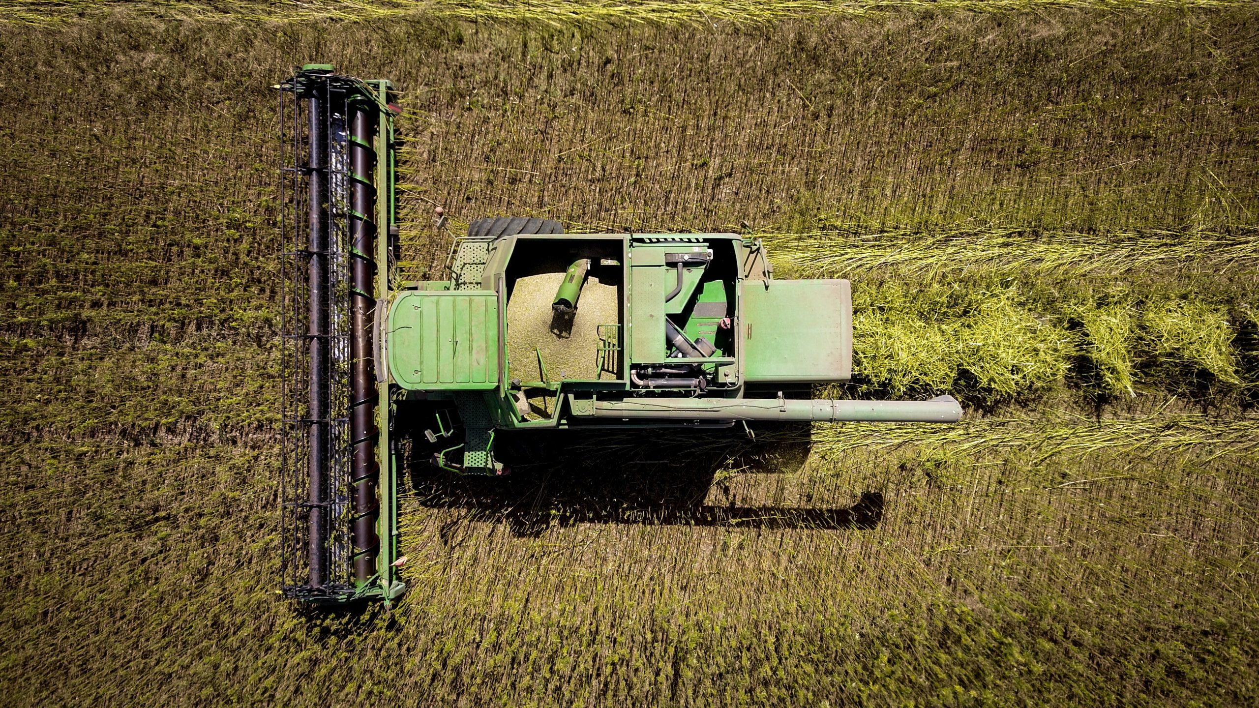 Hemp Farming - Good Country Hemp