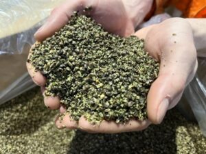 Husks and Hearts: High Fibre for Optimal Gut Health - Good Country Hemp